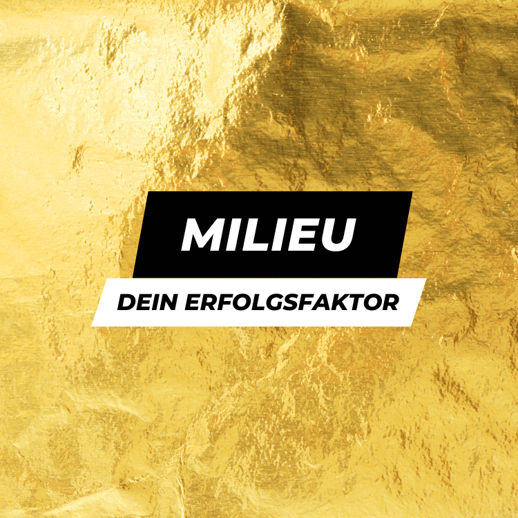 Erfolgreich sein: Das Milieu als Erfolgsfaktor - X-Group
